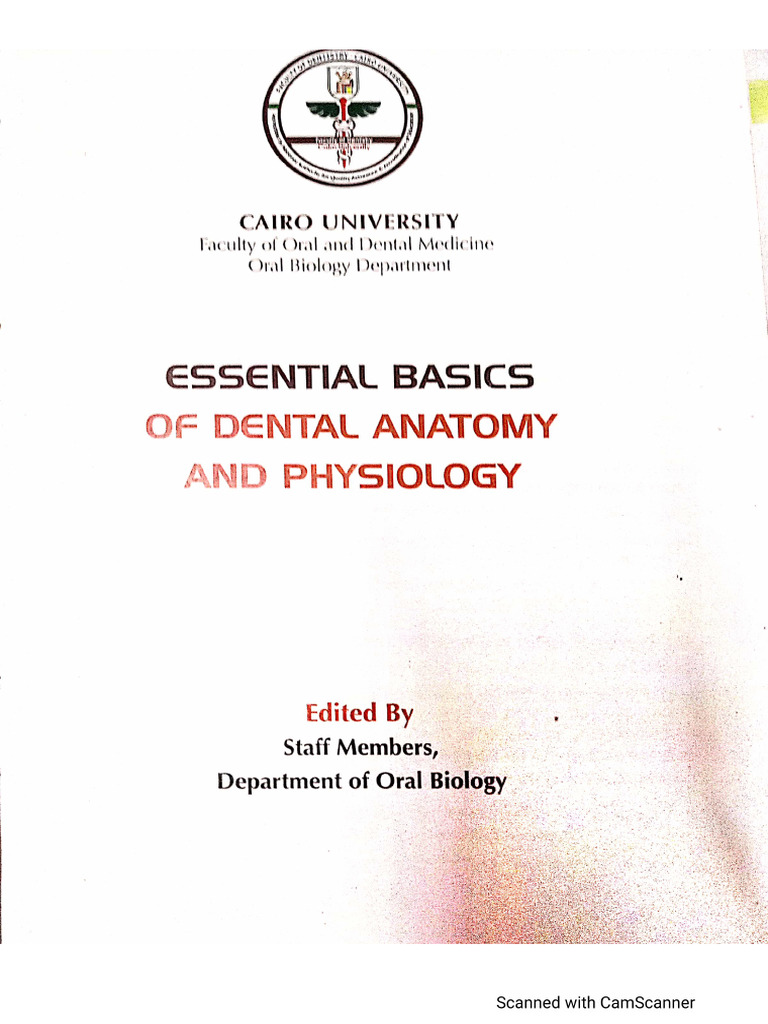 Human Dentition. Cu | PDF
