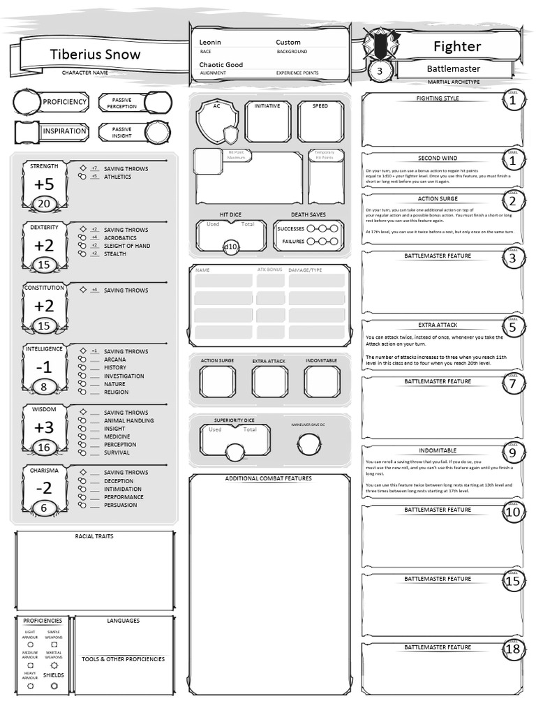 Character Sheet - FIGHTER-BM - EDITABLE | PDF | Gaming | Tabletop Games