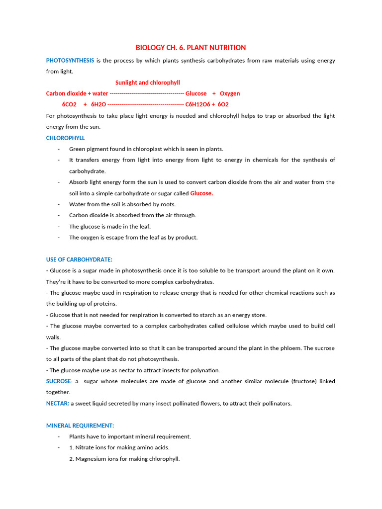 BIOLOGY CH 6 Plant Nutrition | PDF | Leaf | Photosynthesis