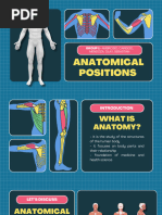 Topographic Anatomy Overview | PDF | Anatomical Terms Of Motion ...