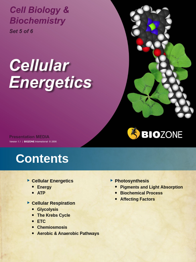 5 Cellular Energetics | PDF | Cellular Respiration | Glycolysis
