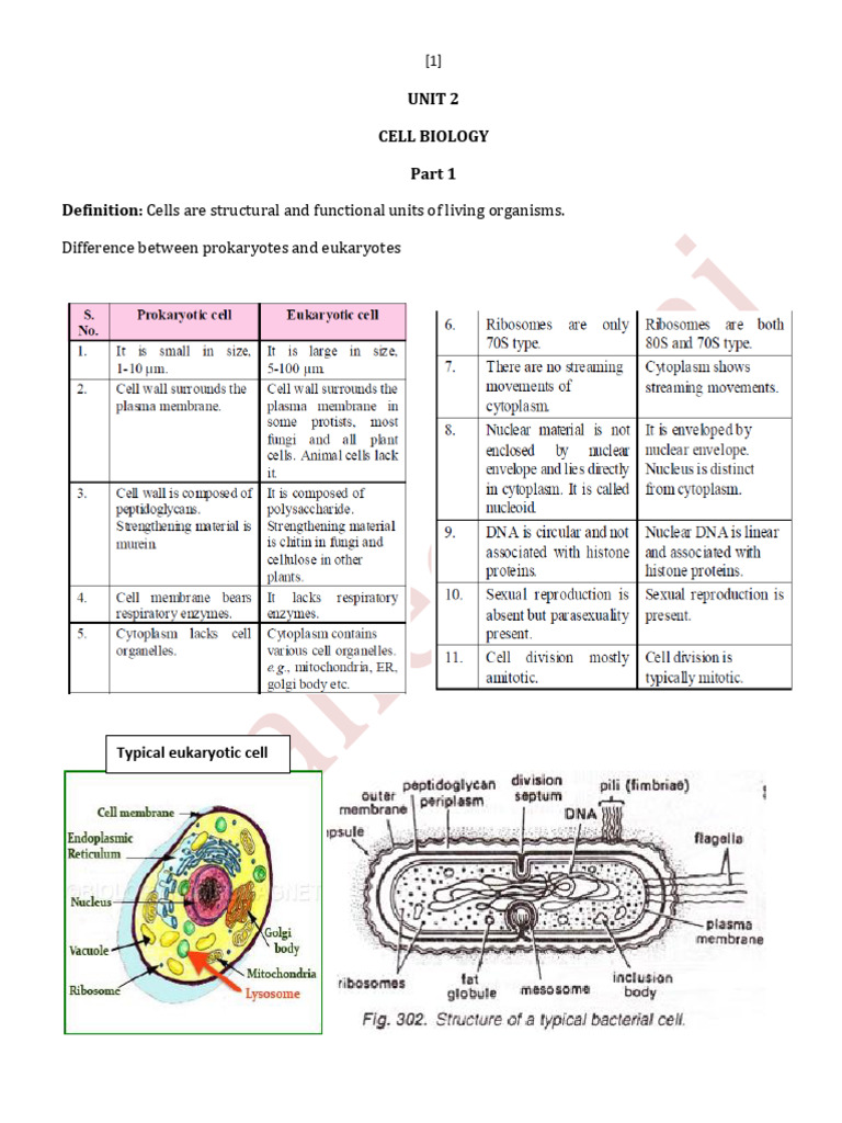 Unit 2 - Cell Biology Part 1 | PDF | Vacuole | Cell Wall