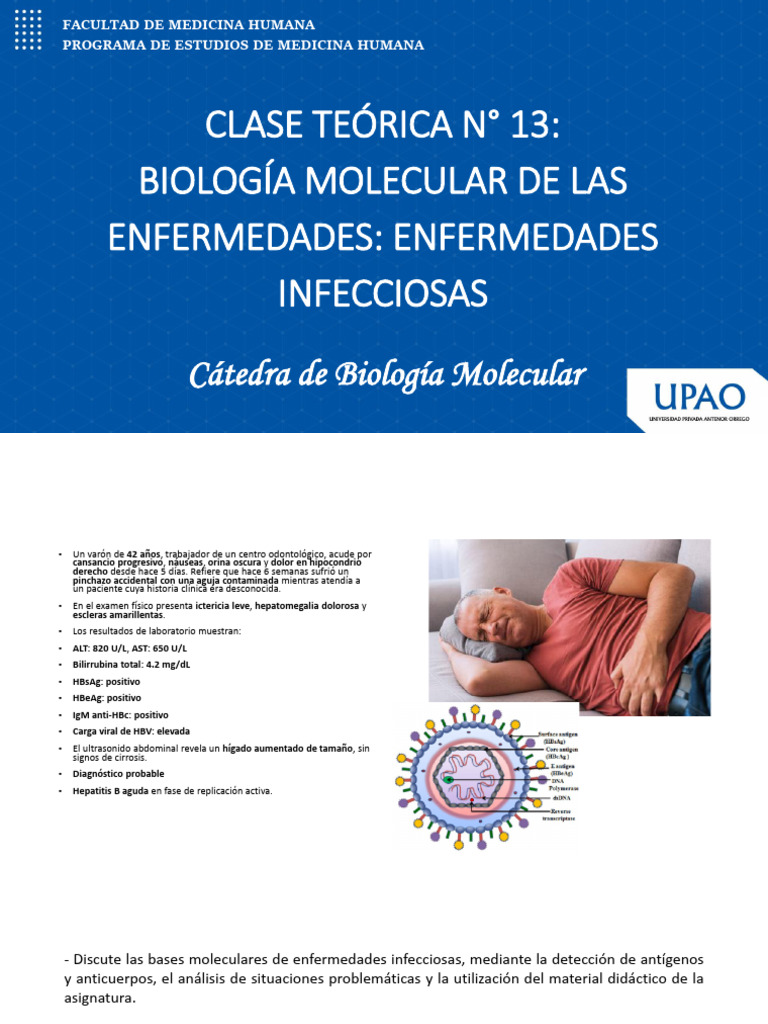 Sem 13 Enfermedades Infecciosas | PDF | Sistema inmune | Célula T