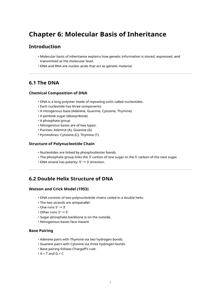 Class 12 Biology Chapter 6 - Molecular Basis of Inheritance (Ncert Line ...