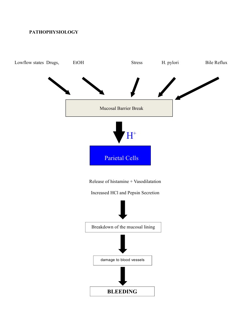 Pathophysiology of Upper GI Bleeding | PDF