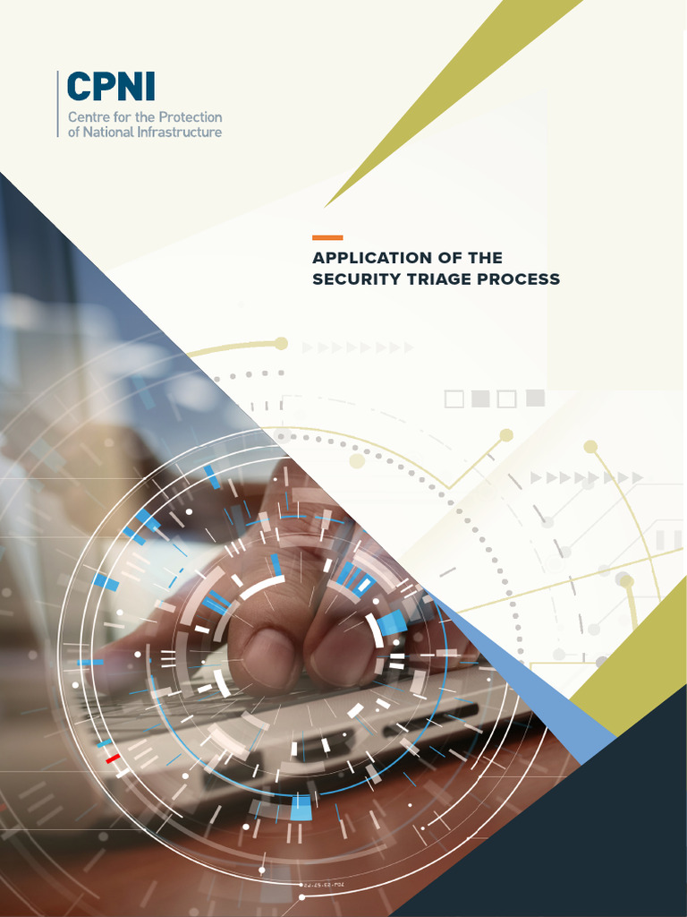 Application of the Security Triage Process v1_form | PDF