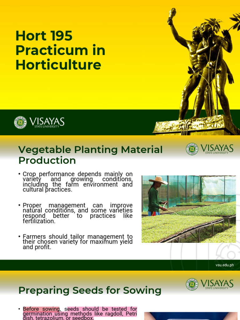 2 Vegetable Planting Material Production | PDF | Sowing | Seed