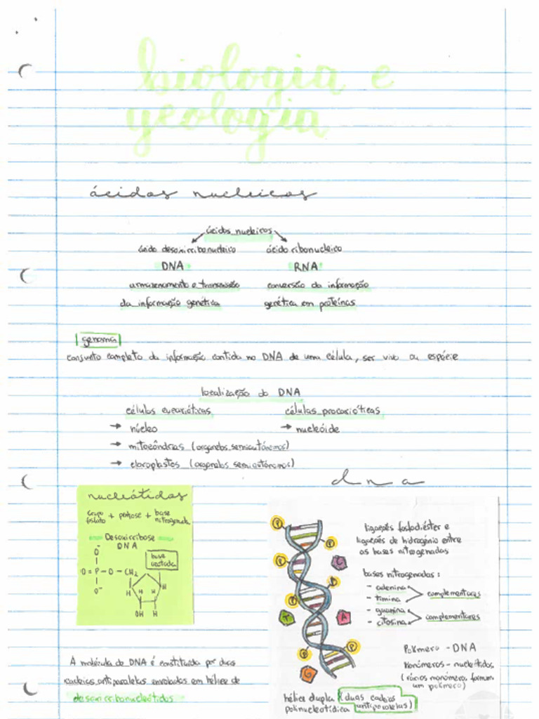 resumos de biologia e geologia 11º e fq | PDF