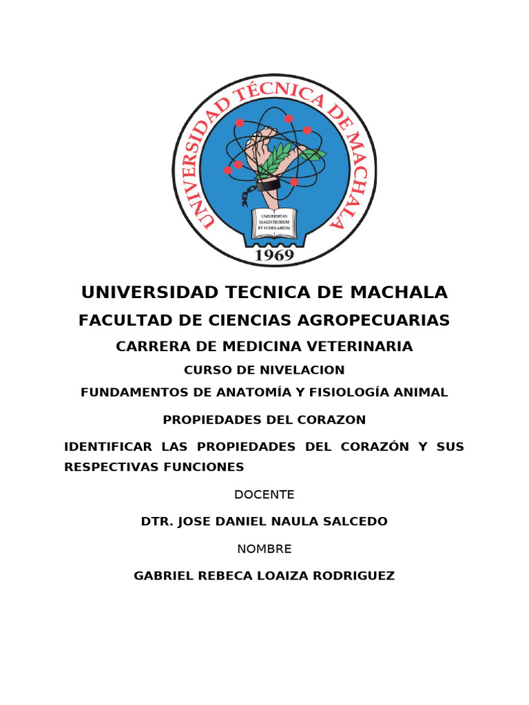 Un Vistazo Al Reino Animalia Desde La Perspectiva Estructura | PDF ...