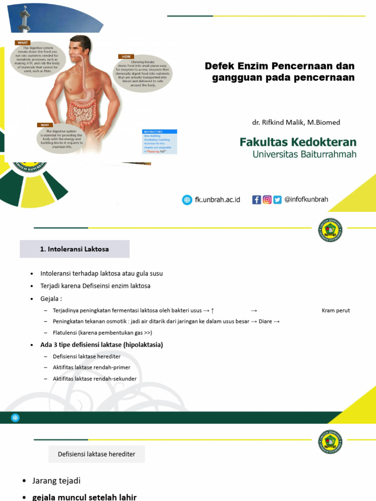 GIT Biokimia 2 Defek Enzim Pencernaan - Dr. Rifkind | PDF