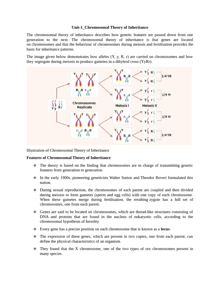 Unit-1 - Chromosomal Theory of Inheritance | PDF | Heredity | Chromosome