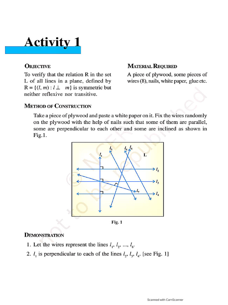 Class 12 Maths Lab Manual 10 Activities(2) | PDF