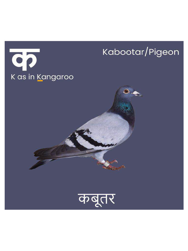 Hindi Vyanjan (Consonants) - Compressed | PDF