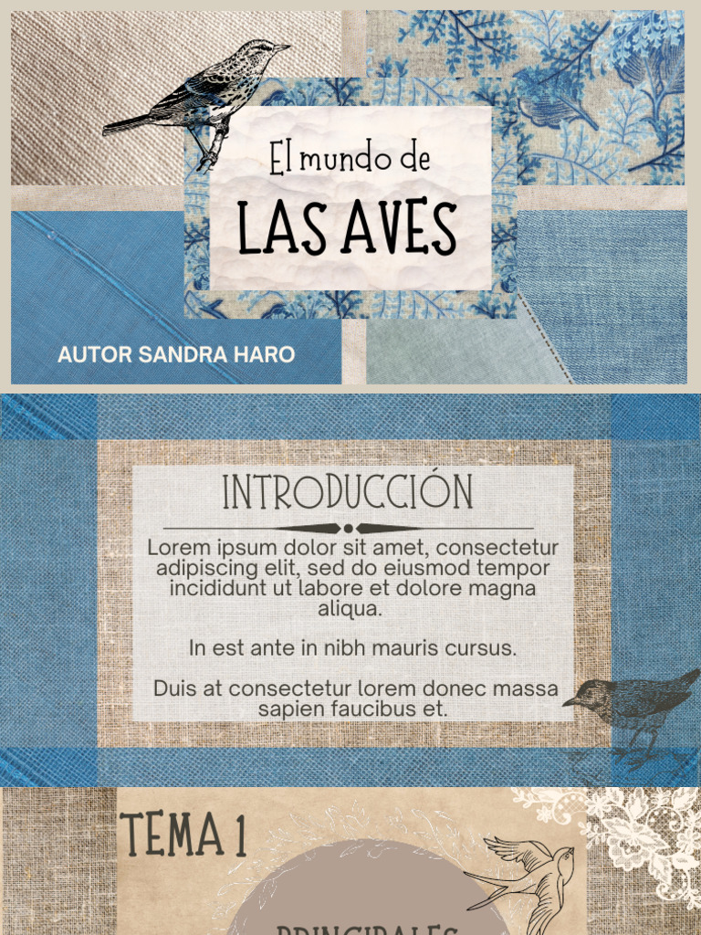 Presentación Las Aves Vintage Scrapbook Azul y Beige_20260126_103946 ...