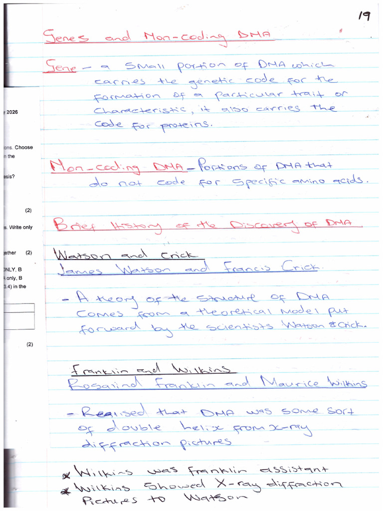 DNA and RNA Notes | PDF