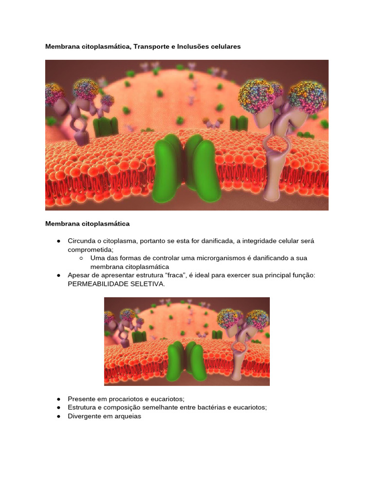 01 pt2 Membrana citoplasmática, Transporte e Inclusões celulares | PDF | Fosfolipídeo | Membrana ...