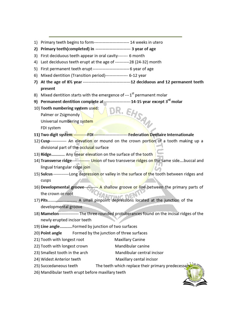 Tooth Morphology Key Features (Dr Ehsan) | PDF | Dental Anatomy | Mouth