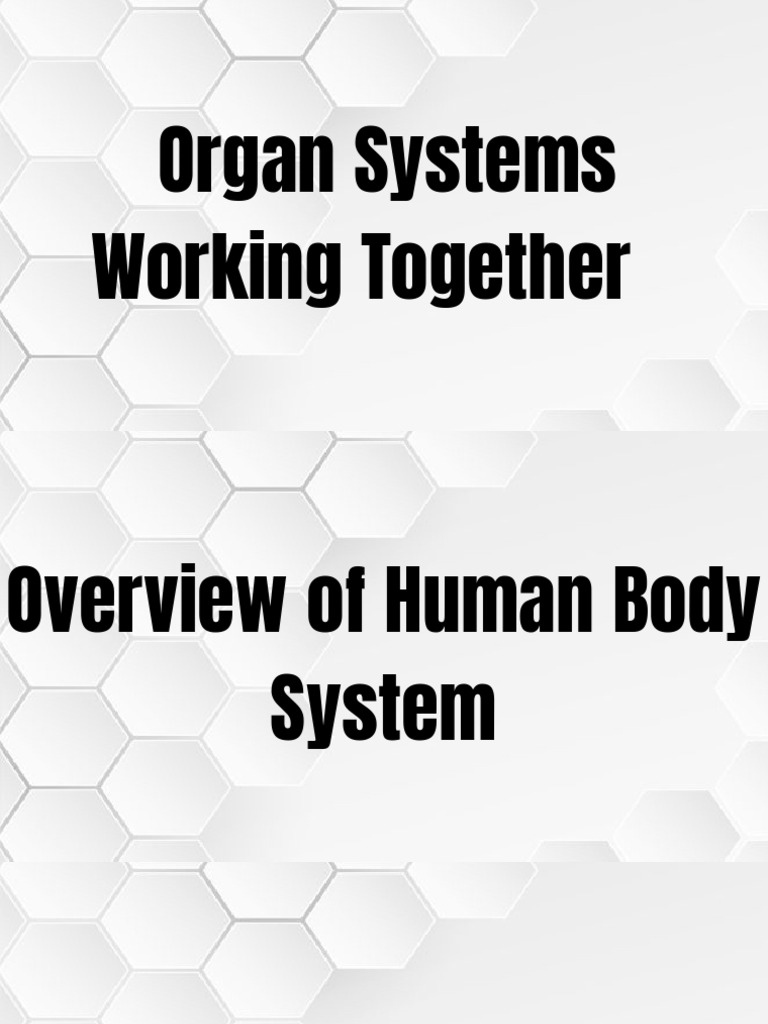 How-Organ-Systems-Work-Together-Simple-Explanation_20251124_214738_0000 ...