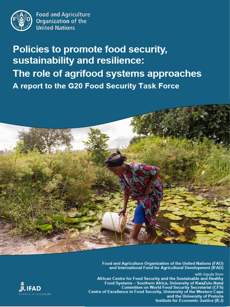 Policies To Promote Food Security, Sustainability and Resilience | PDF ...