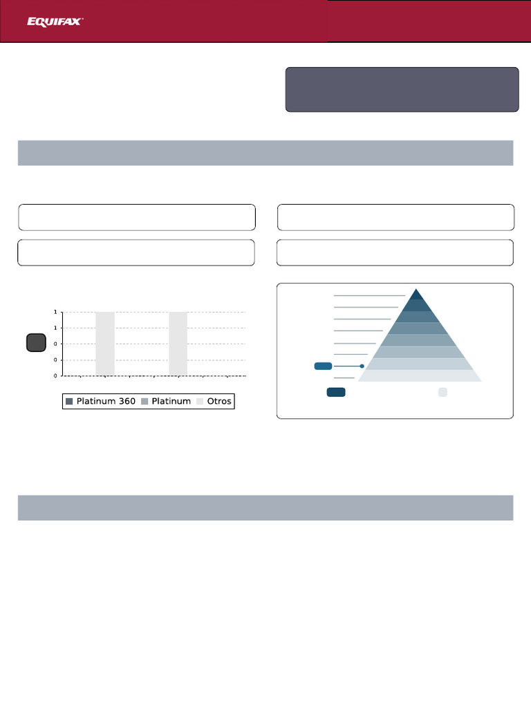 Informe Oficial DICOM Platinum 360 | PDF