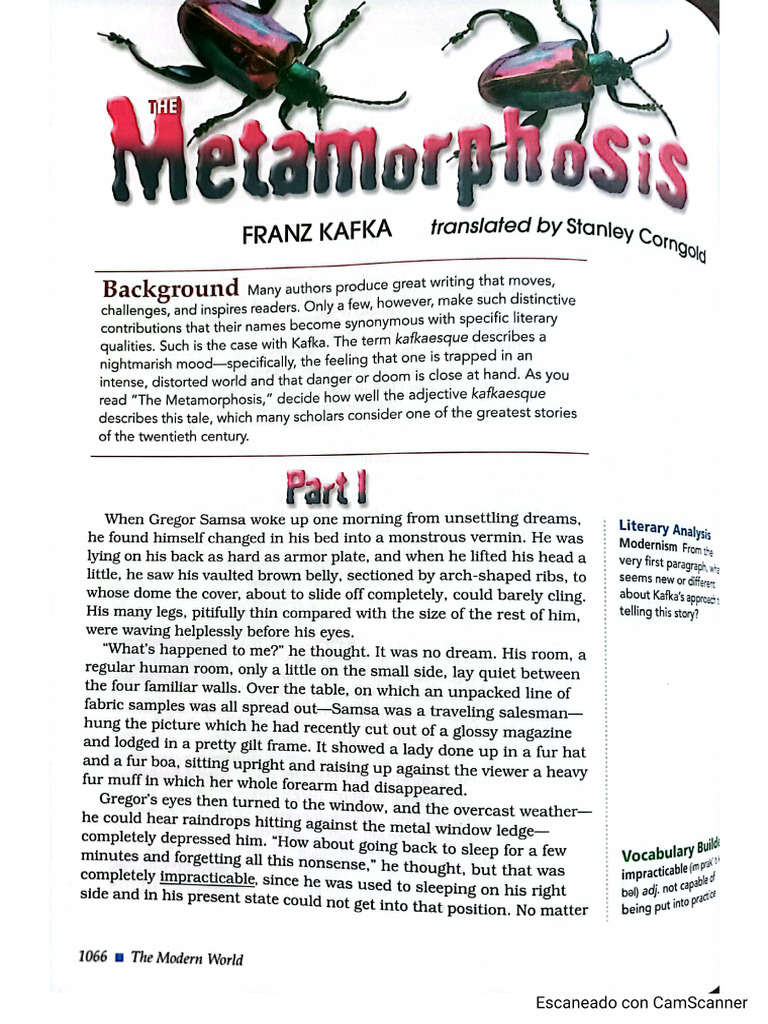 The Metamorphosis - Kafka. 11th Grade | PDF