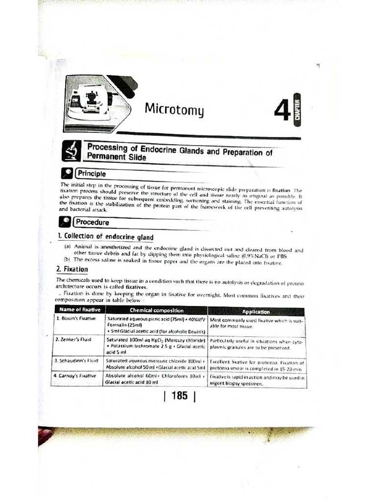 Cc4 Practical | PDF
