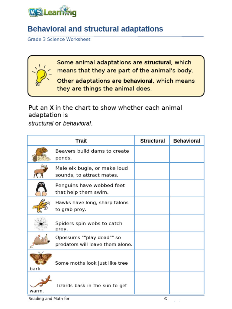 Grade 3 Behavioral Adaptations a (1) | PDF