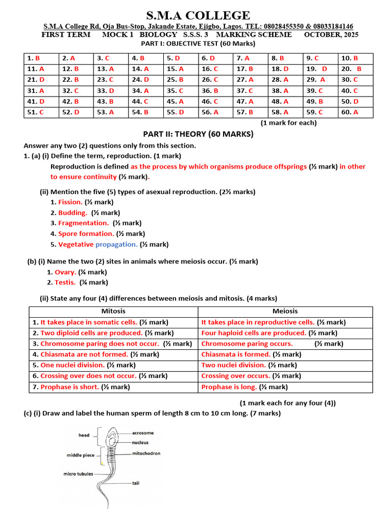 Biology Sss3 Mock 1 Marking Scheme First Term 2025 2026 | PDF | Meiosis ...