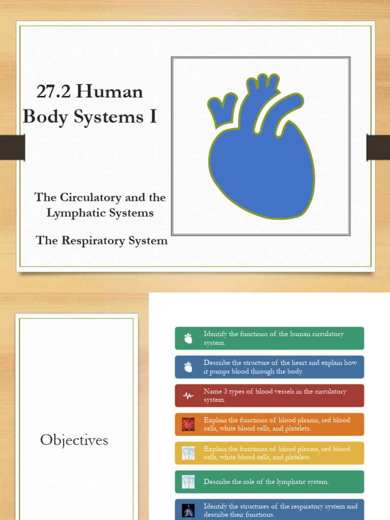 27.2 Human Systems I_The Circulatory, Lymphatic, And Respiratory ...