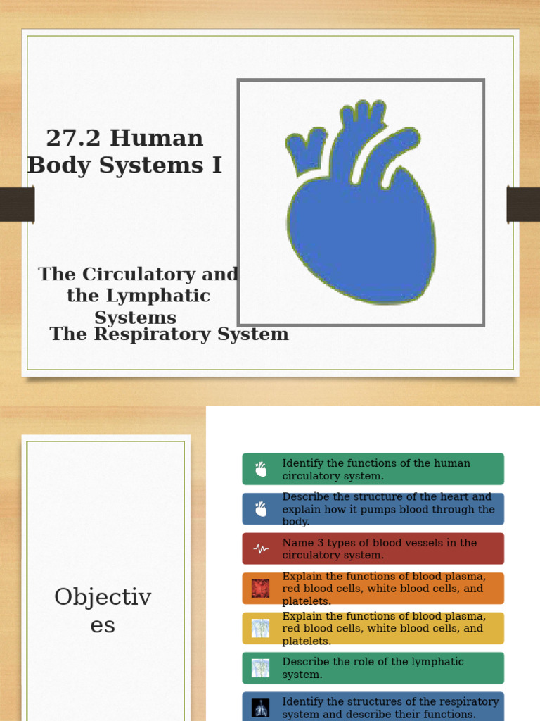 27.2 Human Systems I - The Circulatory, Lymphatic, and Respiratory ...