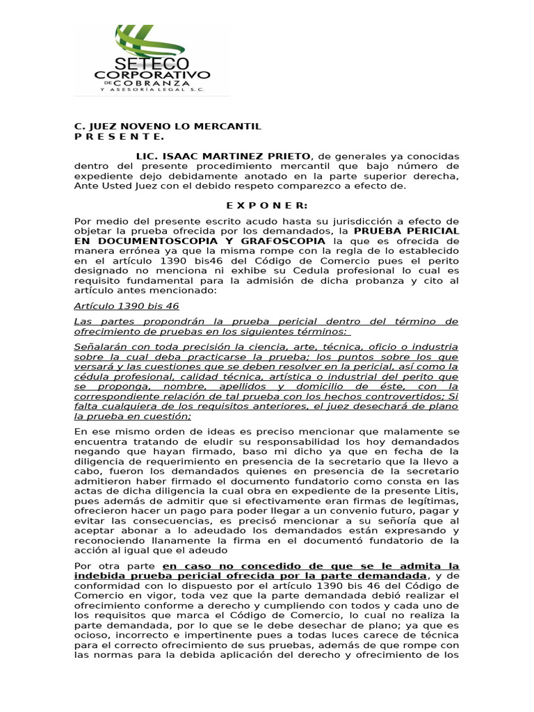 objeta prueba pericial ALEJANDRA PALOMAR VS JUANA PEDROZA MARIA ELENA ...