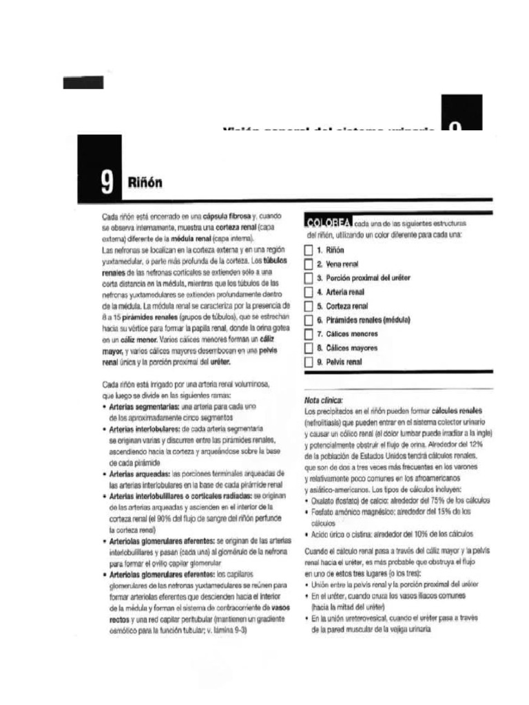 Color Ear | PDF