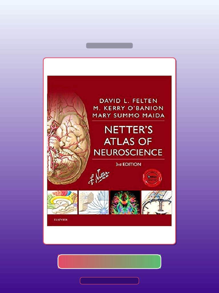 Netters Atlas of Neuroscience Netter Basic Science 3rd Edition E-book ...