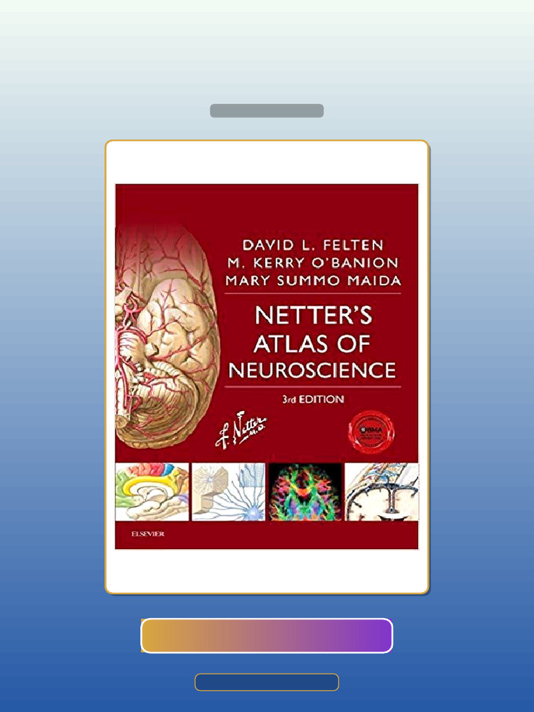 Netters Atlas of Neuroscience 3rd Edition E-book Testbank Solutions ...