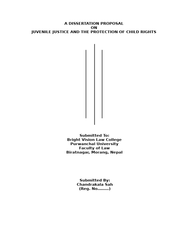 Proposal Ch | PDF | Juvenile Delinquency | Juvenile Court