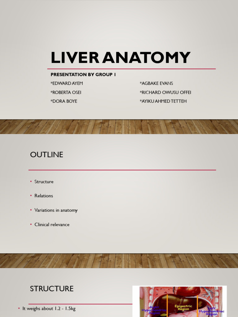 Group 1 Presentation (Liver) | PDF | Liver | Vein