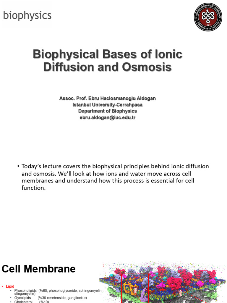 5-Biophysical Bases of Ionic Diffusion and Osmosis-Öğrencipptx | PDF ...