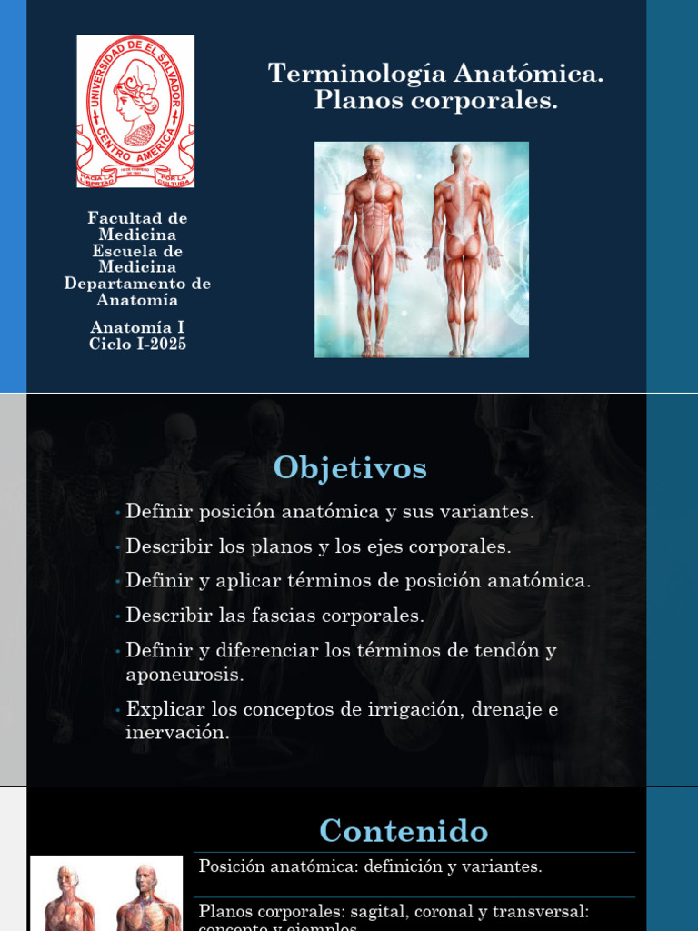 Terminología Anatómica Ciclo I-2025 | PDF | Términos anatómicos de ...