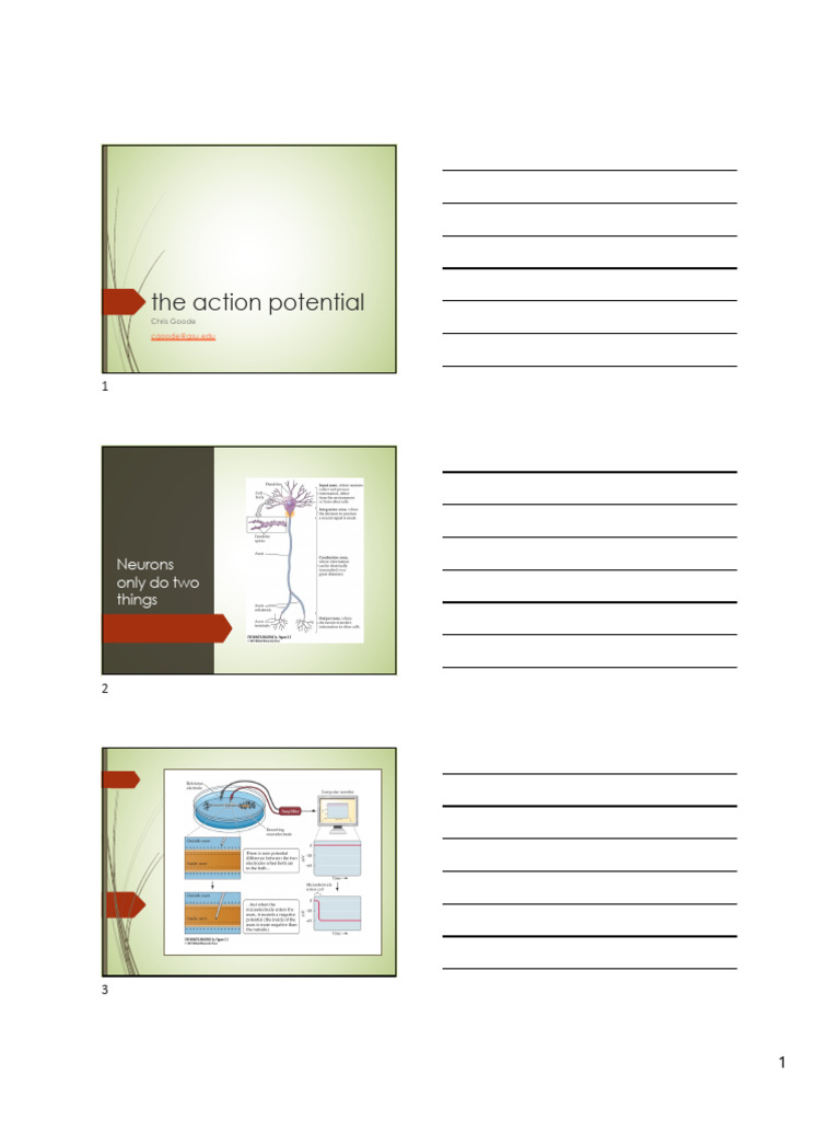 Action Potential Generation | PDF