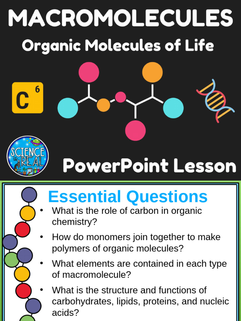 2 Macromolecules PowerPoint | PDF | Carbohydrates | Polysaccharide
