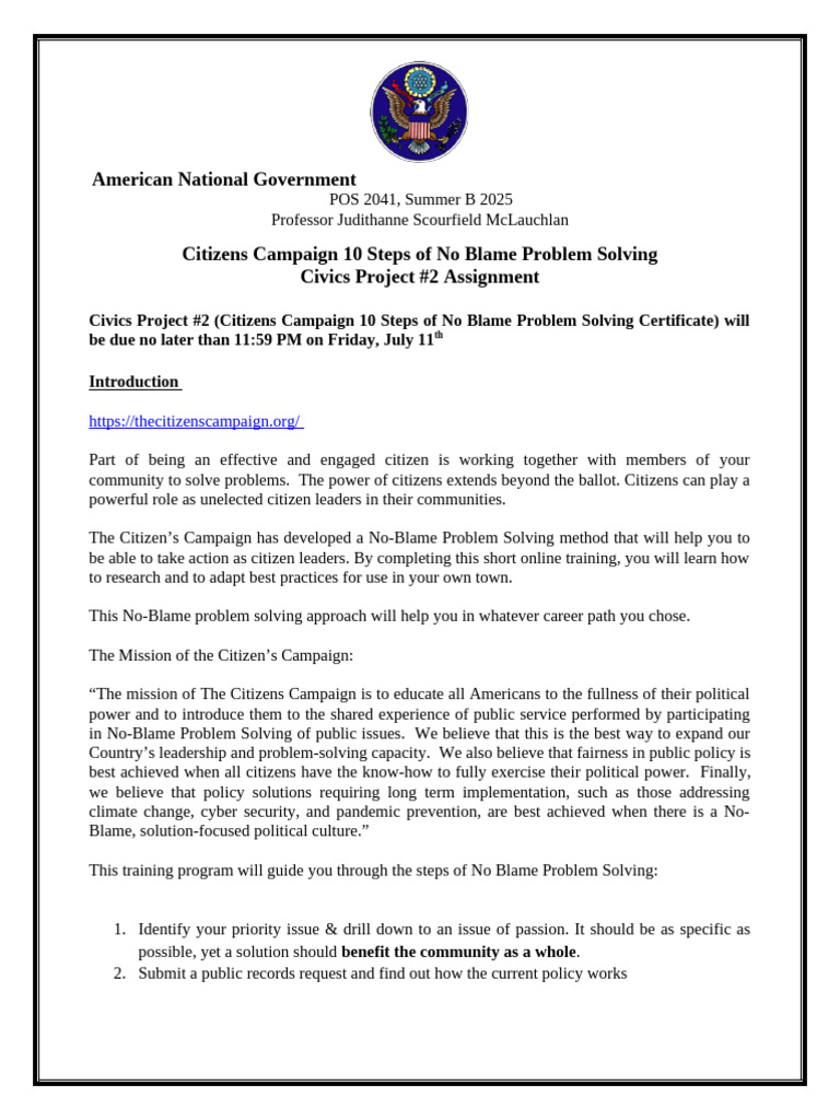 Am Govt Citizens Campaign 10 Steps of No Blame Problem Solving Civics ...