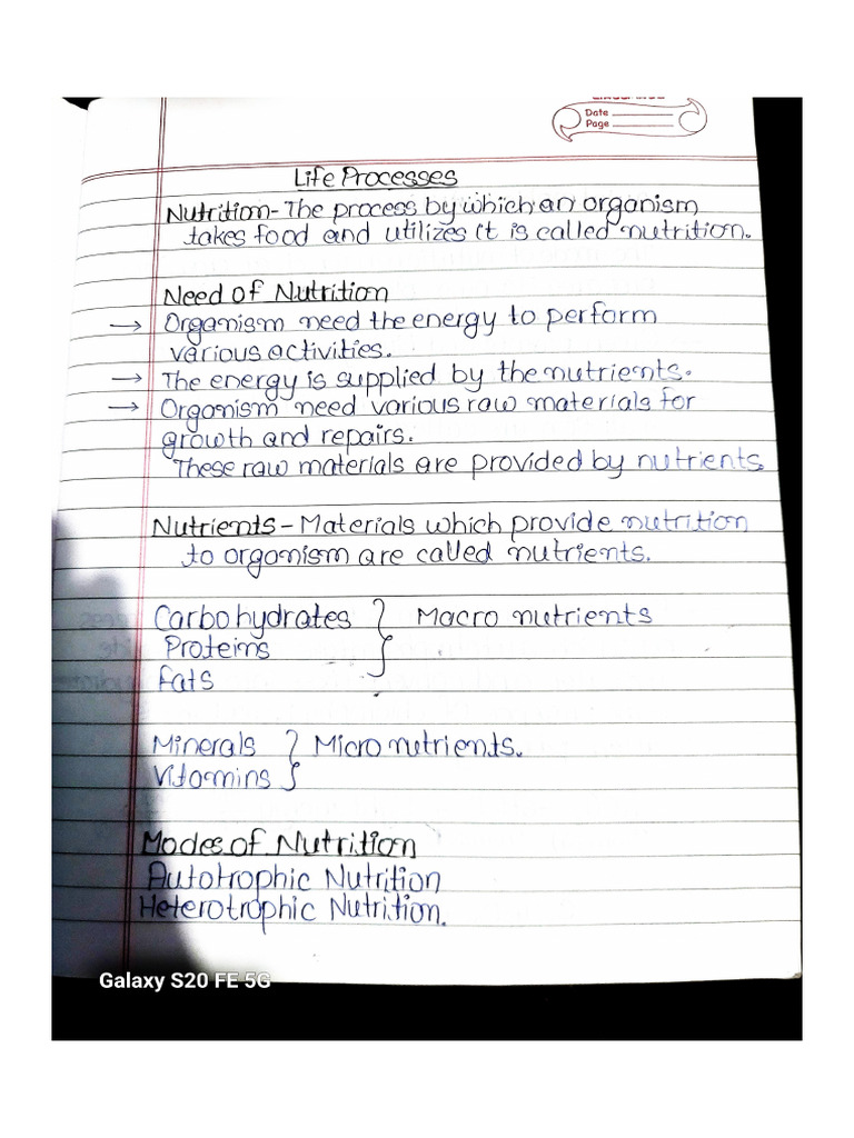 Biology Life Process | PDF