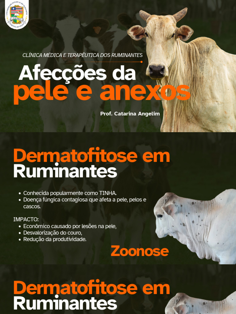 Dermatofitose e Dermatofilose | PDF | Infecção | Bactérias