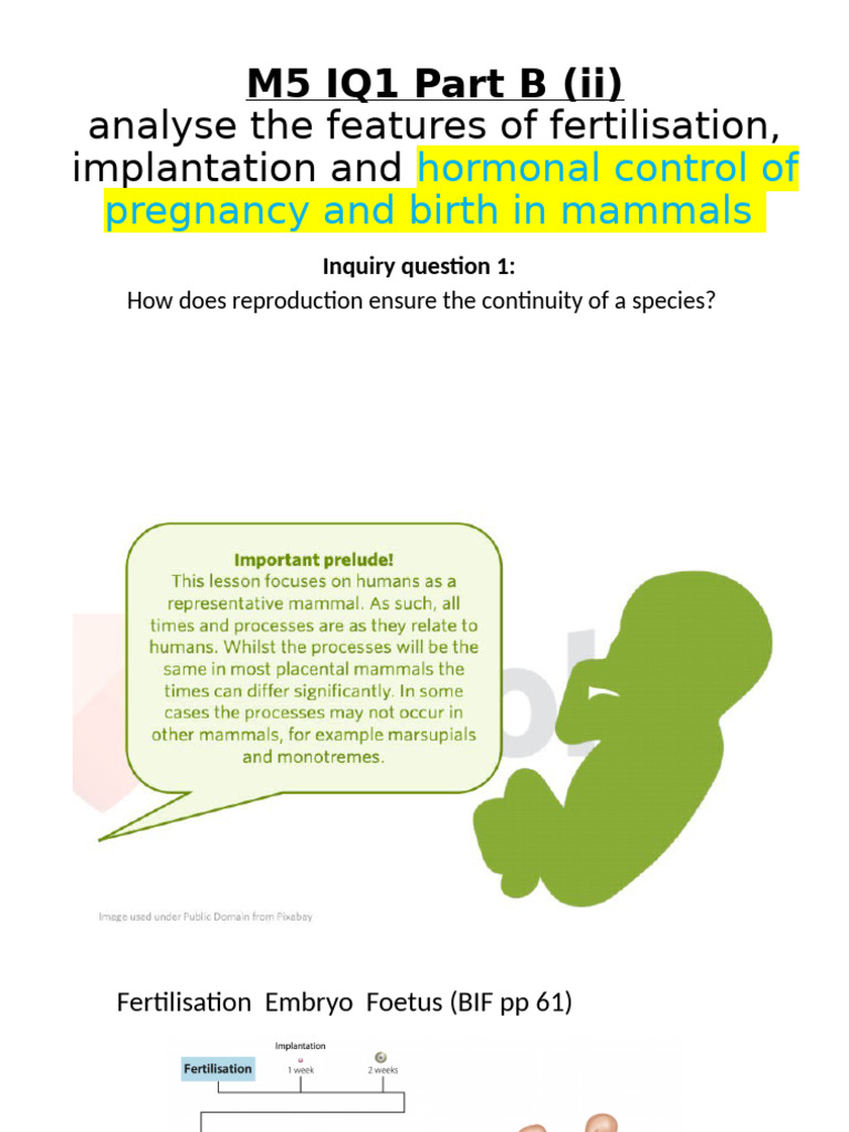 M5 IQ1 Part B ii Hormonal control of pregnancy and birth in mammals ...