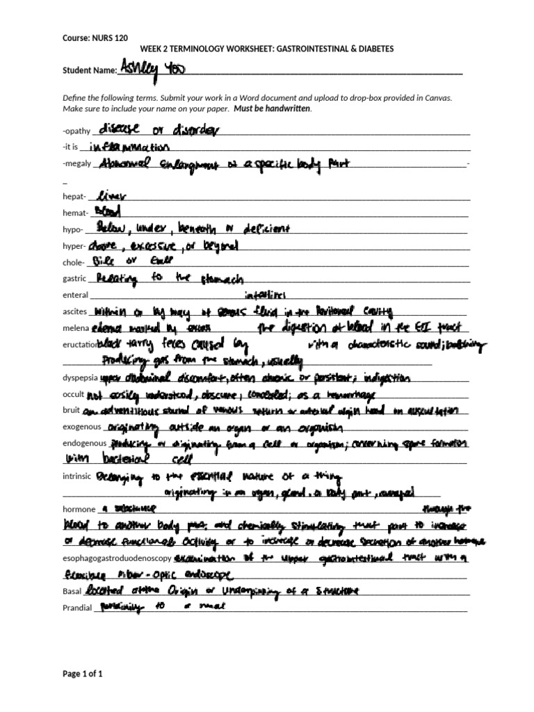 NURS 120 - Terminology Worksheet Week 2 | PDF | Gastroenterology ...