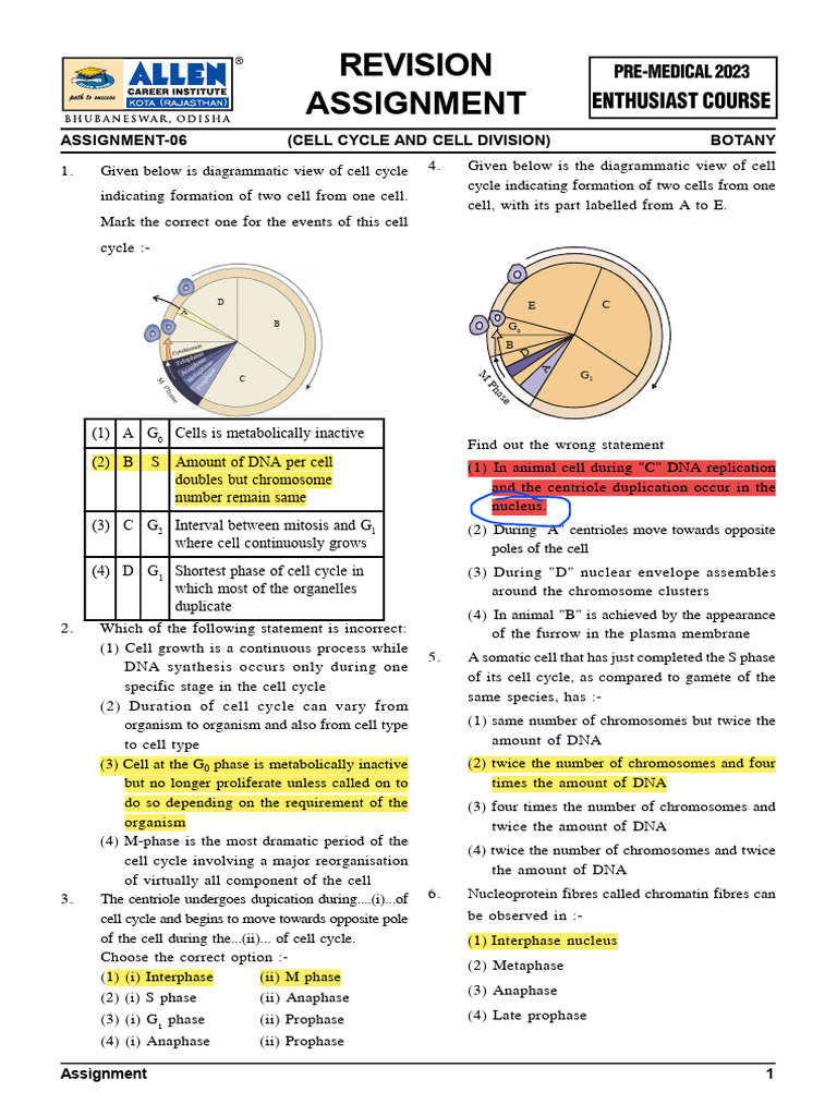 Cell Division Cell Cycle Assignment | PDF | Mitosis | Meiosis