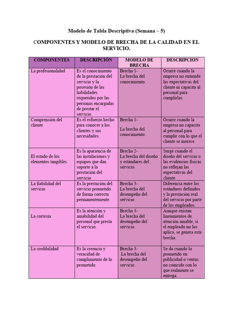 Modelo de Tabla Descriptiva (Semana 5) LLENA | PDF | Business