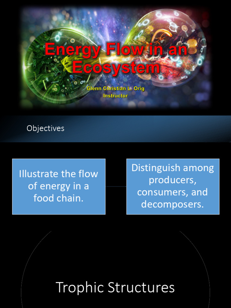 L3-Energy-Flow-in-the-Ecosystems_c6ed32aa0ccfab7b8a310f52ace3d160 | PDF ...