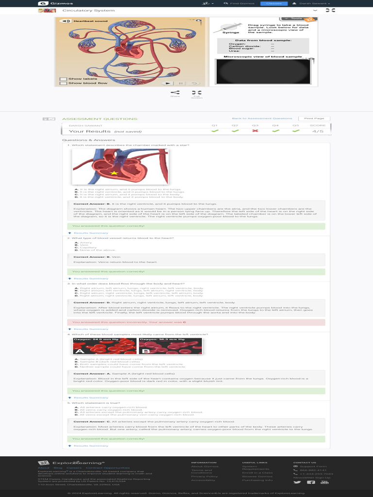 Circulatory System Gizmo ExploreLearning | PDF | Heart | Atrium (Heart)