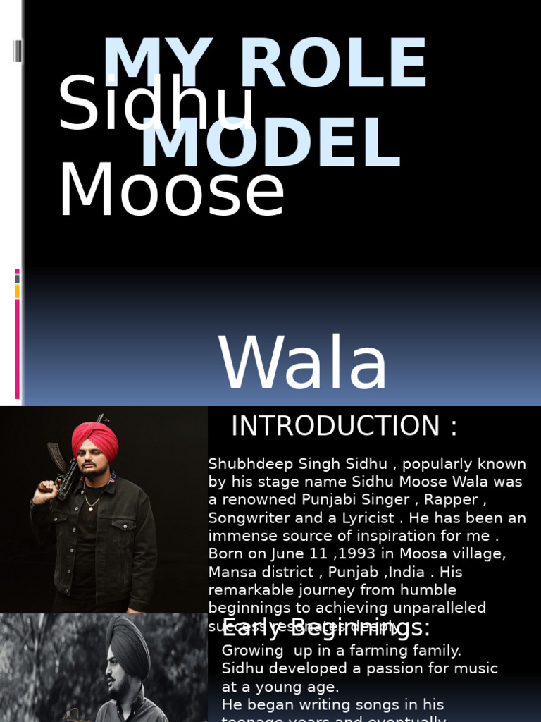 my role model-1 | PDF